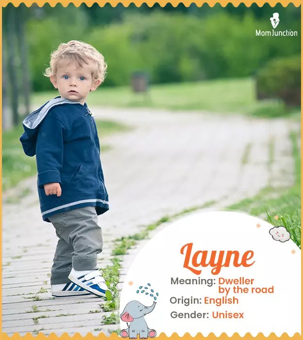Layne Name, Meaning, Origin, History, And Popularity