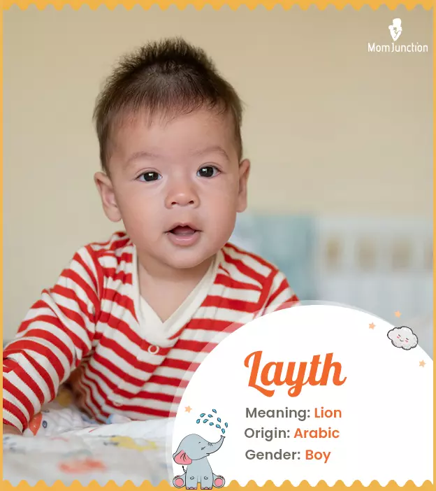 Explore Layth: Meaning, Origin & Popularity