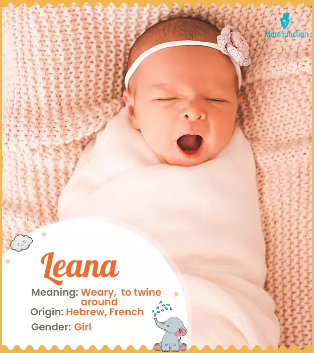 Leana Name Meaning, Origin, History, And Popularity