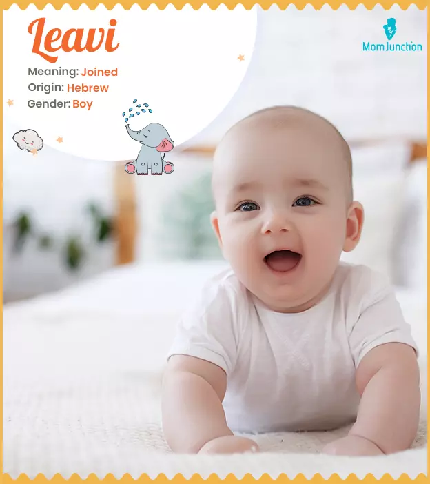 Leavi Name Meaning, Origin, History, And Popularity