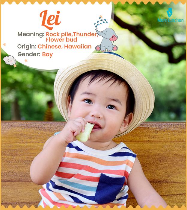 Lei Name Meaning, Origin, History, And Popularity