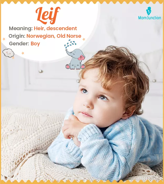 Leif Name Meaning, History, And Pronunciation: Complete Guide