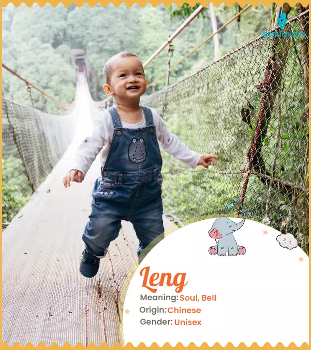 Explore Leng: Meaning, Origin & Popularity