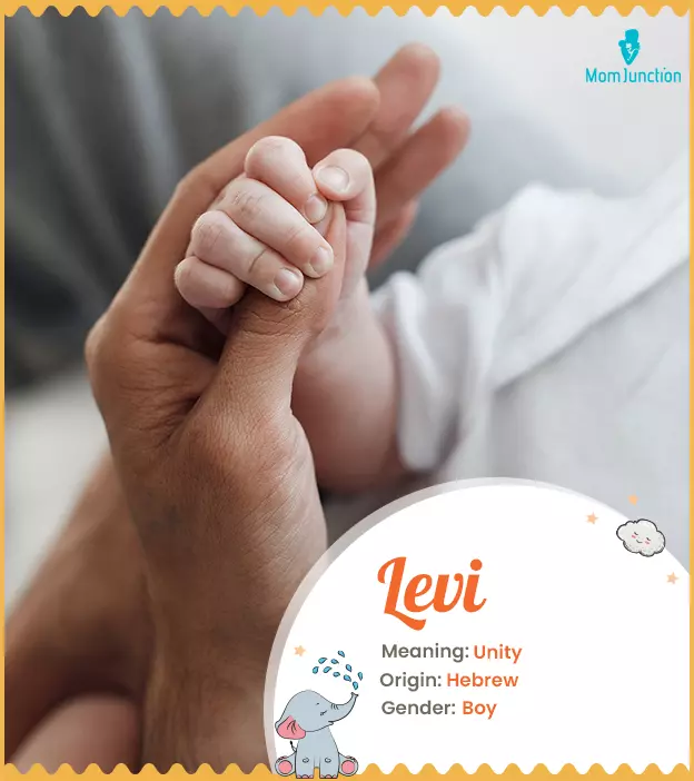 Levi Name Meaning, Origin, History, And Popularity