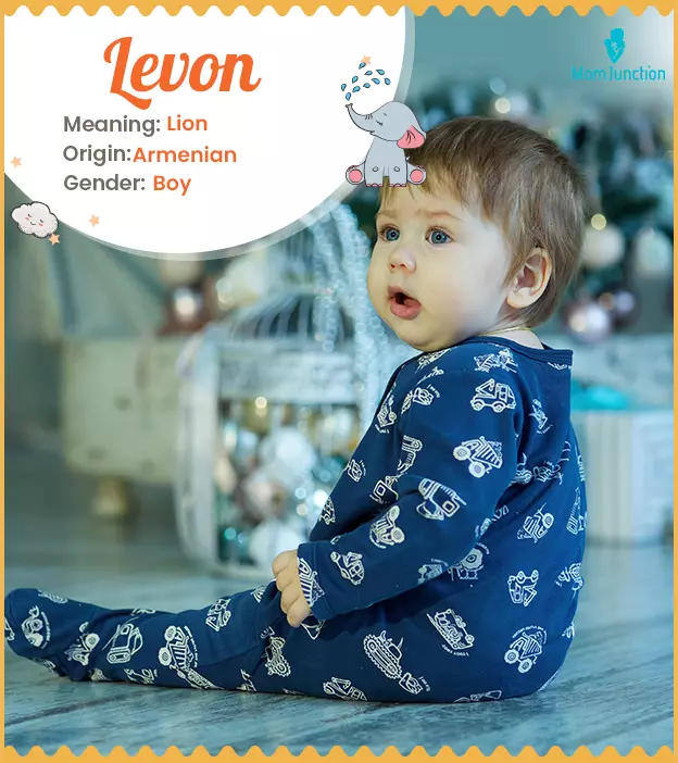 Levon Name Meaning, Origin, History, And Popularity