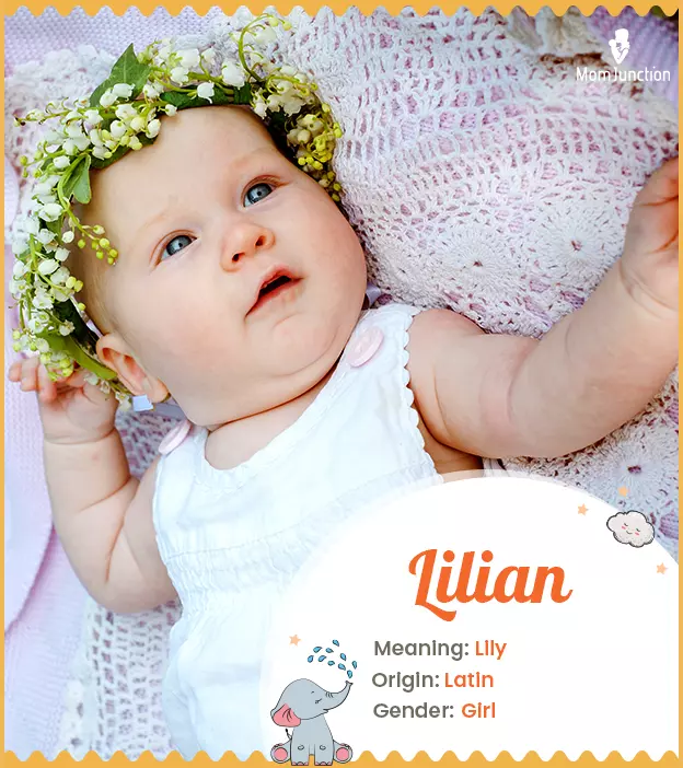 Lilian Name Meaning, History & 5 Variations Explained