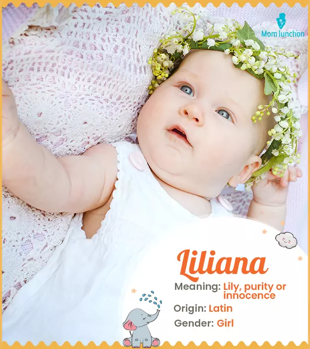 Liliana Name Meaning, Origin, History, And Popularity