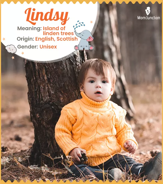 Lindsy Name Meaning, Origin, History, And Popularity