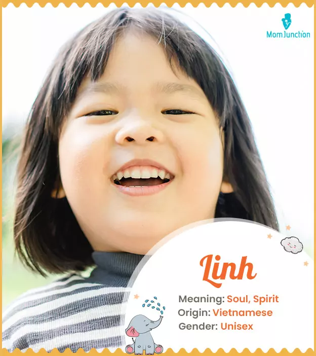 Linh Name Meaning, Origin, History, And Popularity