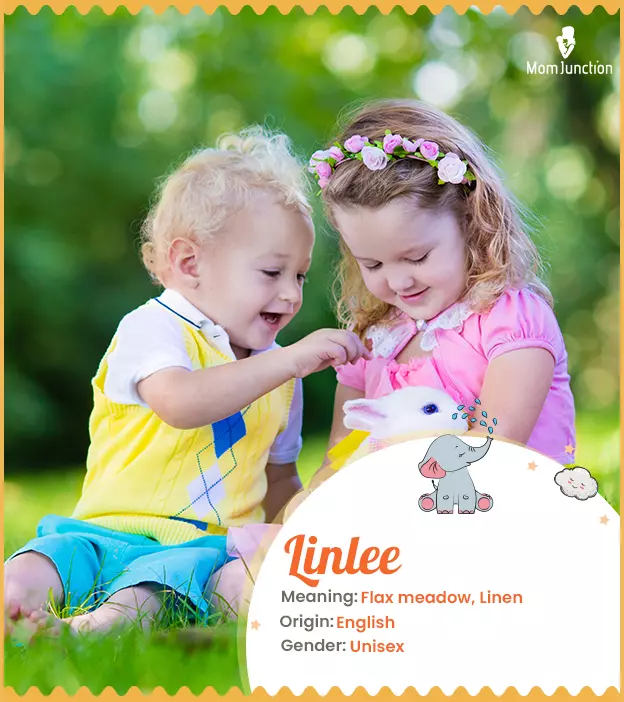 Explore Linlee: Meaning, Origin & Popularity