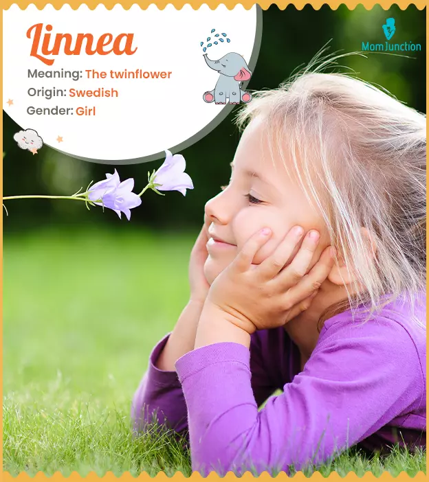 Linnea Meaning, Origin, History, And Popularity