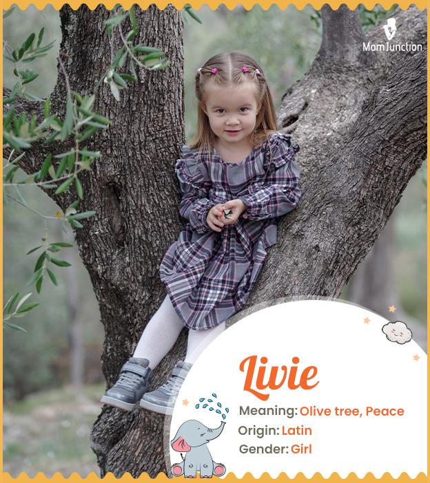 Lina Name, Meaning, Origin, History, And Popularity