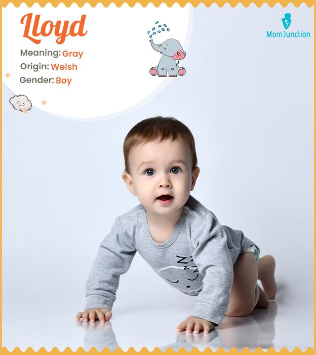 Lloyd Name Meaning, Origin, History, And Popularity