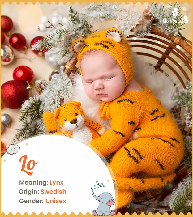 Lo Name Meaning, Origin, History, And Popularity