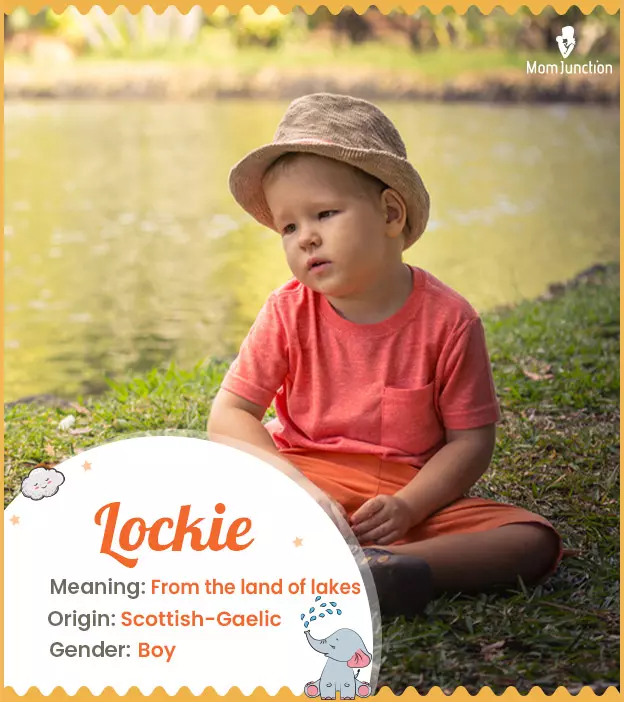 Lockie Name Meaning, Origin, History, And Popularity