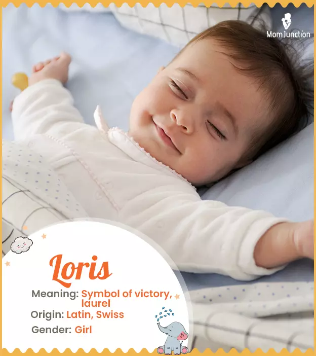 Loris Name Meaning, Origin, History, And Popularity