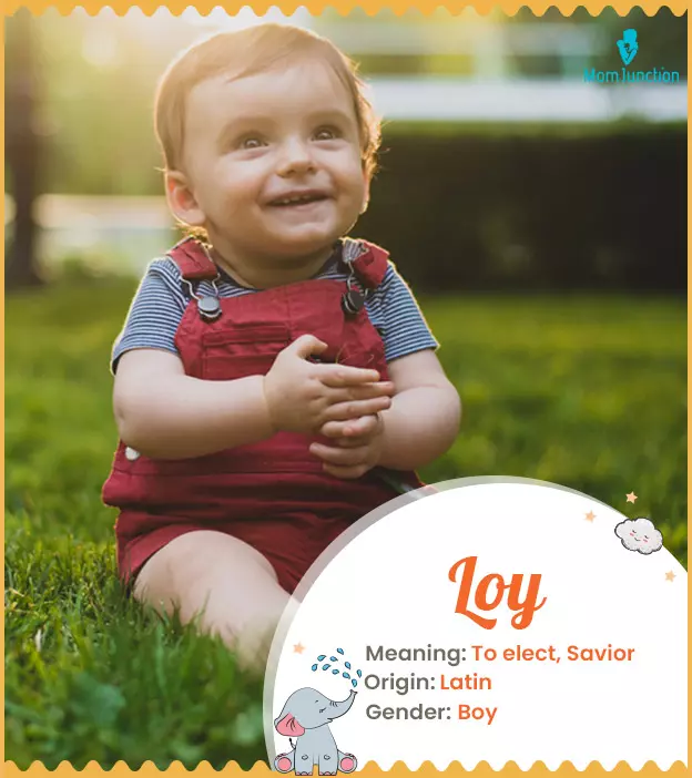 Loy Name Meaning: Comprehensive Guide To Origin & Popularity