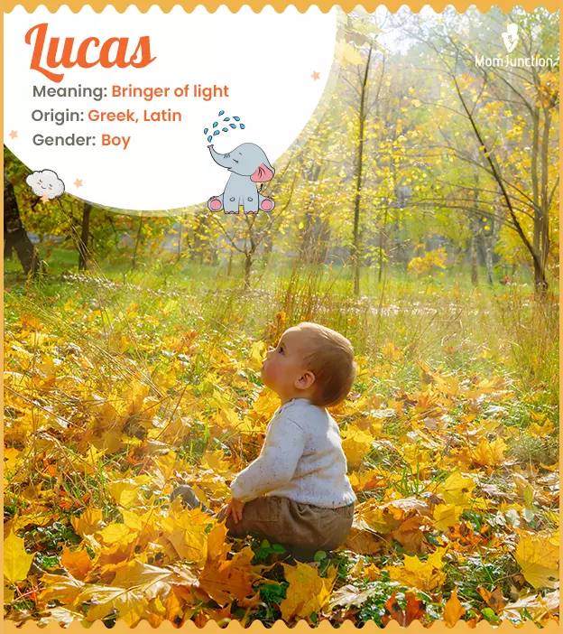 Lucas Name Meaning, History & Popularity In 2025