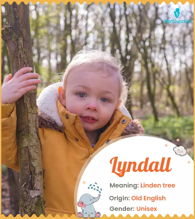 Explore Lyndall Baby Name Complete Guide: Origin, Meaning, Variations ...