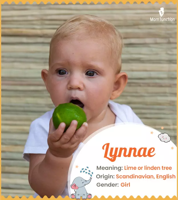 Explore Lynnae: Meaning, Origin & Popularity