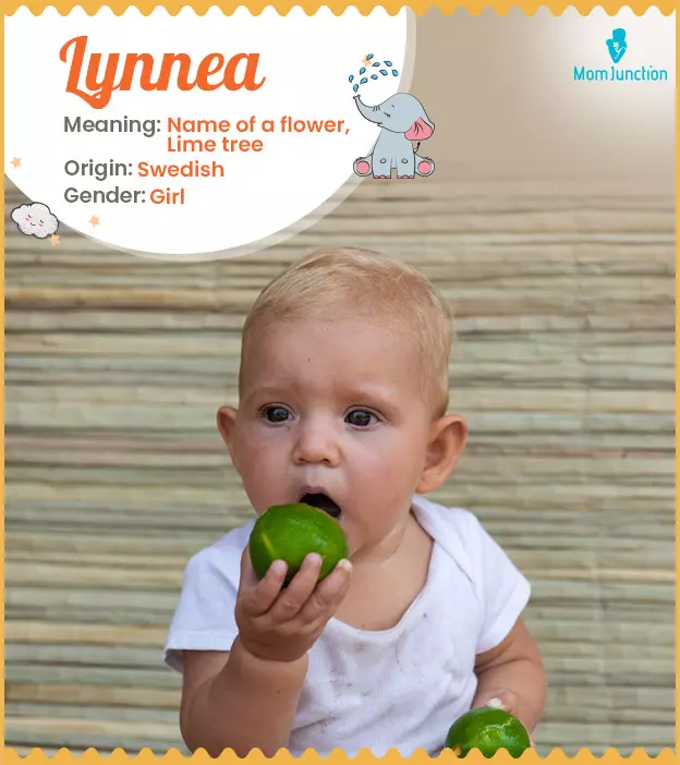 Explore Lynnea: Meaning, Origin & Popularity