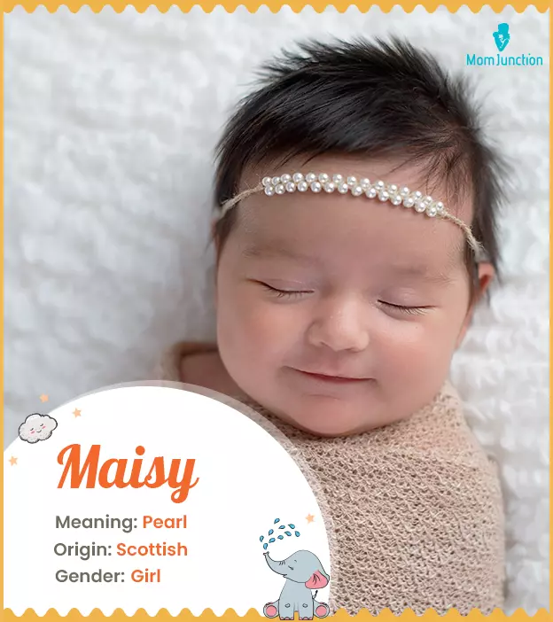 Maisy Name Meaning, Origin, History, And Popularity