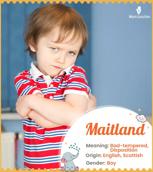Explore Maitland: Meaning, Origin & Popularity