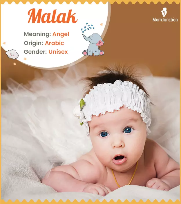 Malak Name Meaning, Origin, History, And Popularity