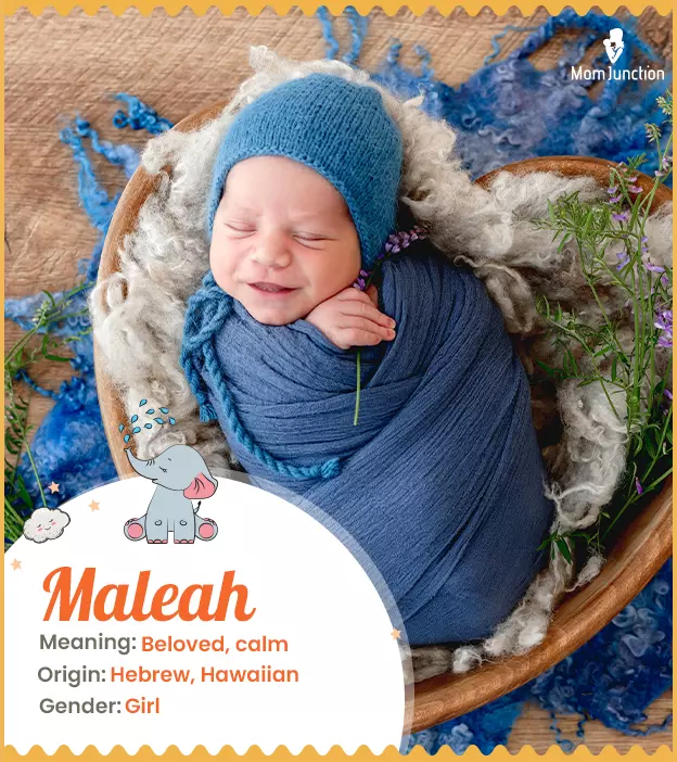Maleah Name Meaning, Origin, History, And Popularity