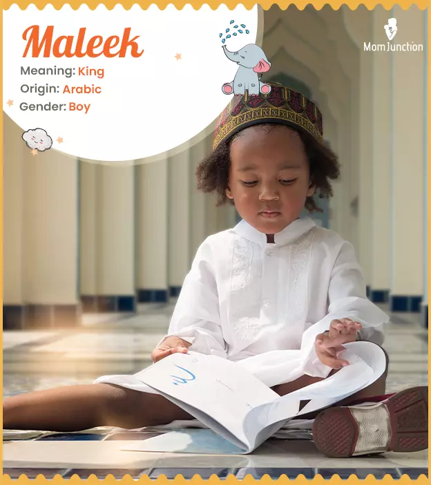 Maleek Name Meaning, Origin, History, And Popularity