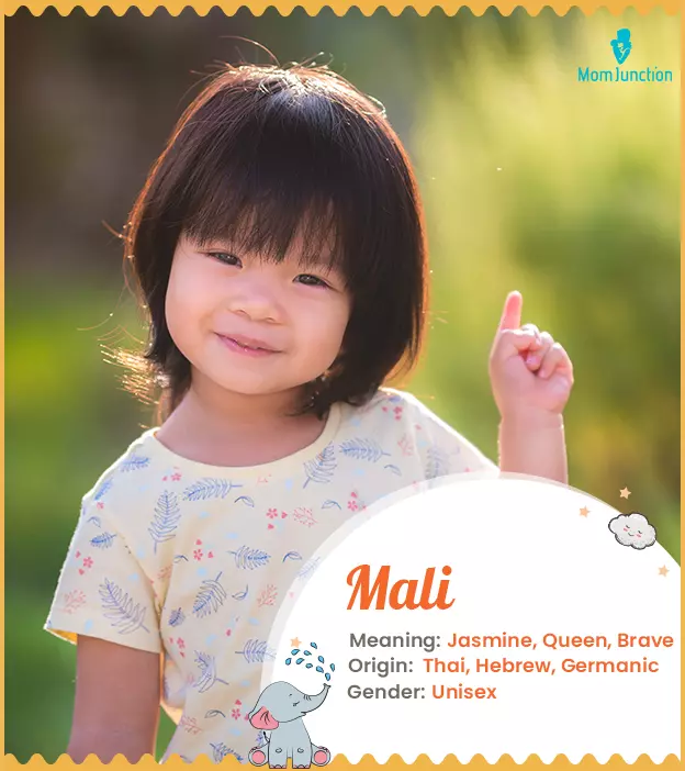 Mali Name Meaning, Origin, History, And Popularity