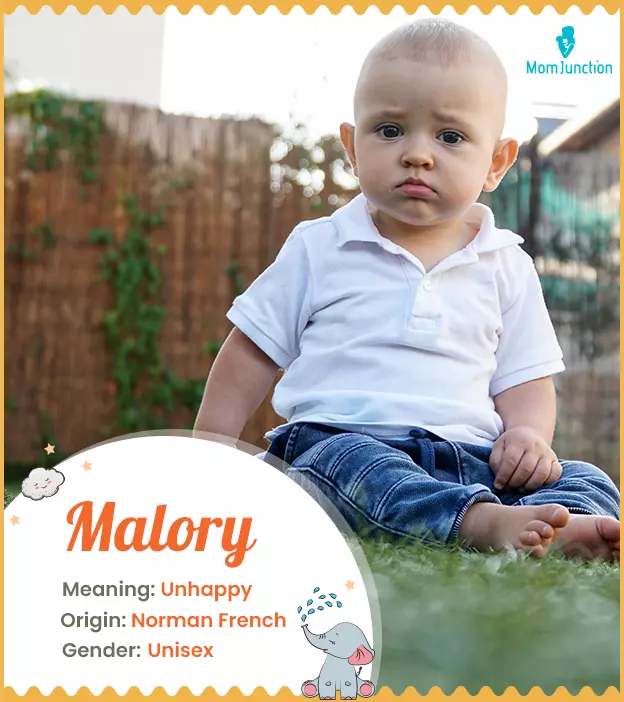Malory Name Meaning, Origin, History, And Popularity