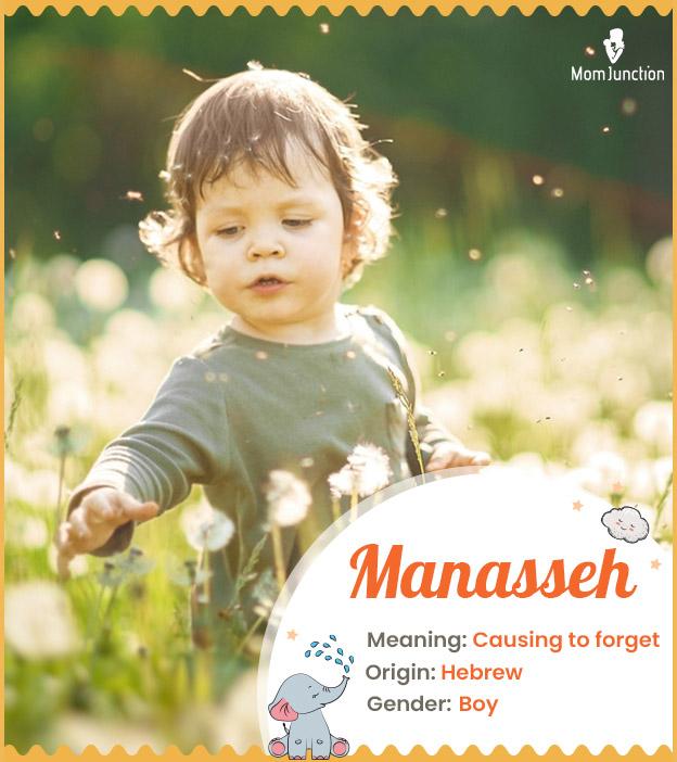Manasseh Name Meaning, Origin, History, And Popularity