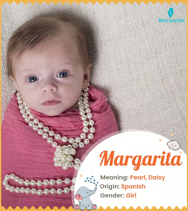 Bebe Margarita