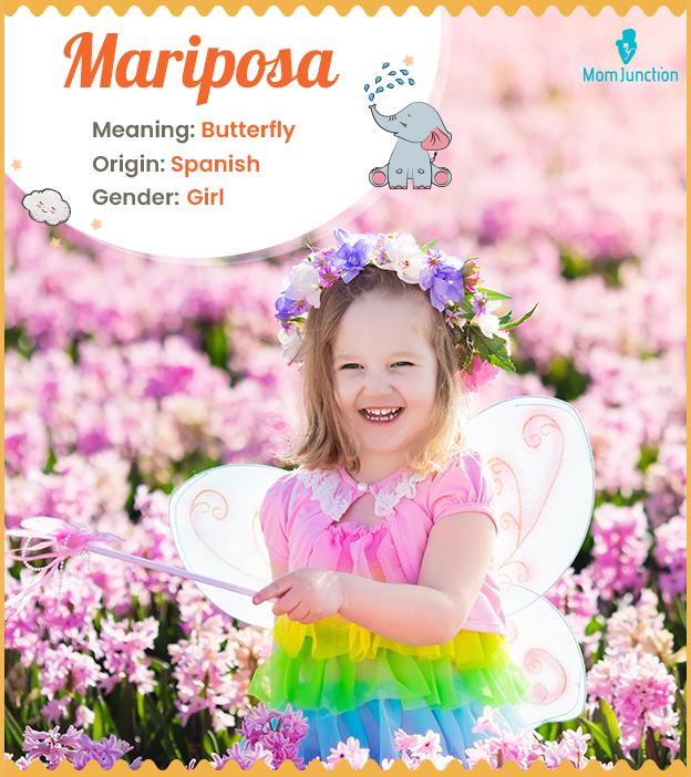 Mariposa Name, Meaning, Origin, History, And Popularity