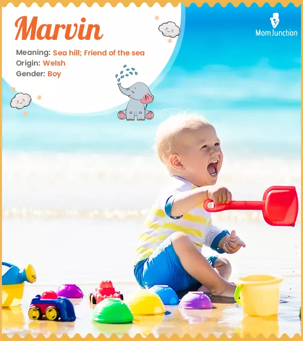Marvin Name Meaning, Origin, History, And Popularity