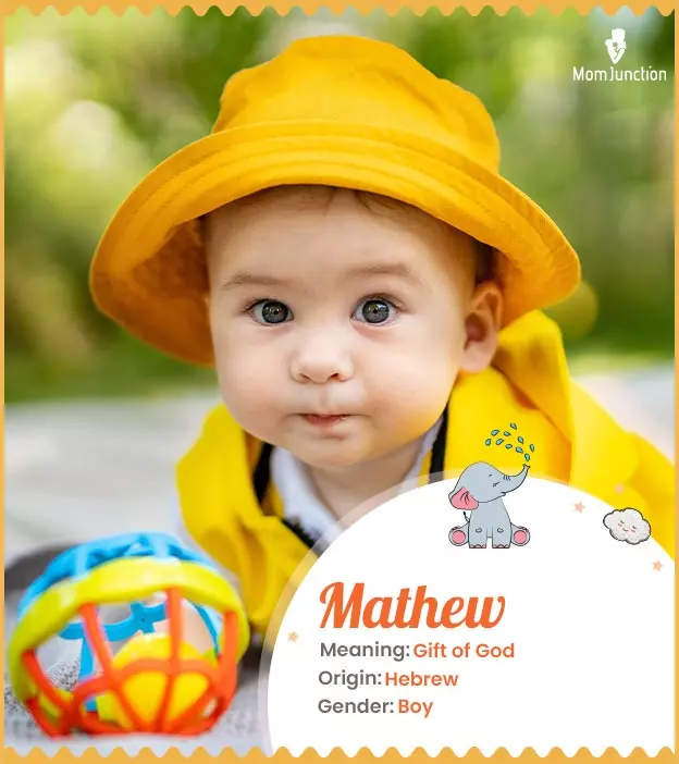 Mathew Name Meaning, Origin, History, And Popularity