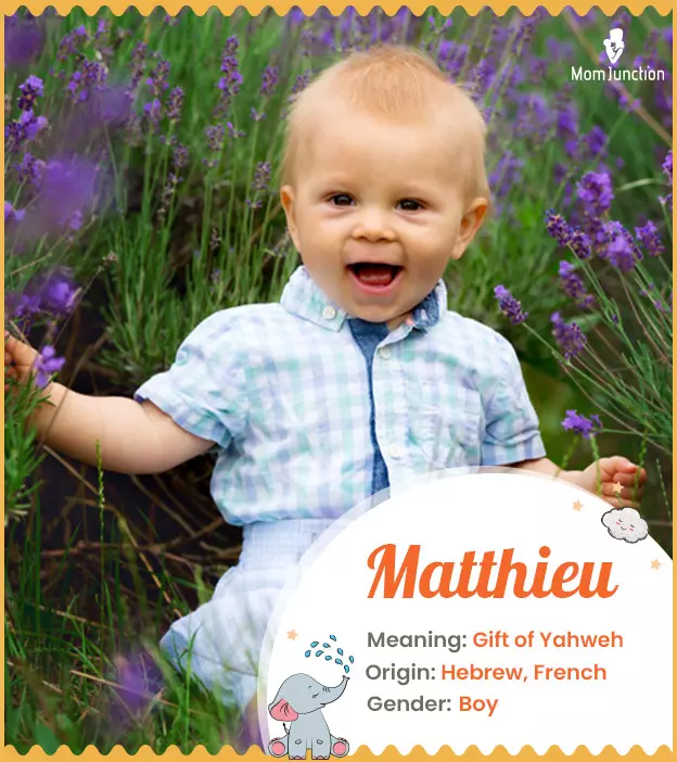 Matthieu Name Meaning, Origin, History, And Popularity