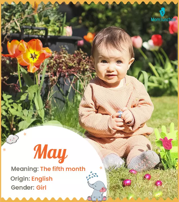 May Name Meaning: Complete Guide To History & Popularity