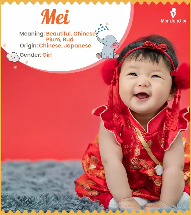 Mei Name Meaning, Origin, History, And Popularity