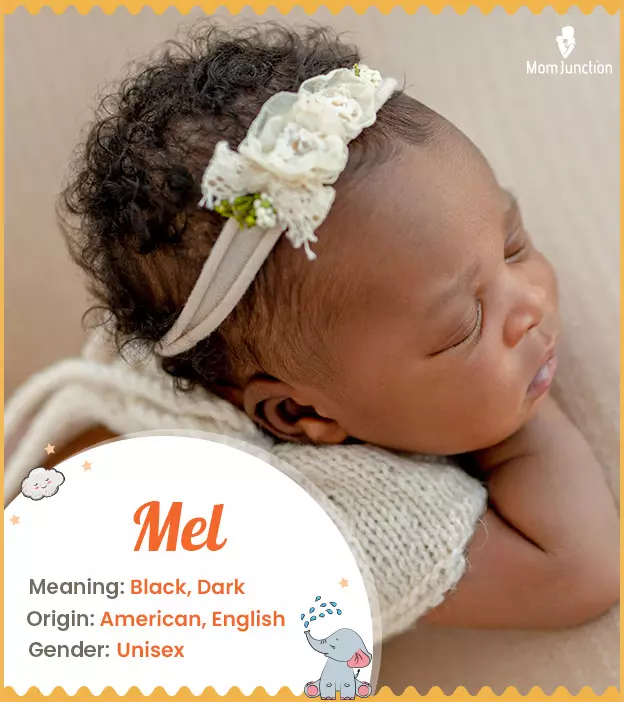 Mel Name Meaning, Origin, History, And Popularity
