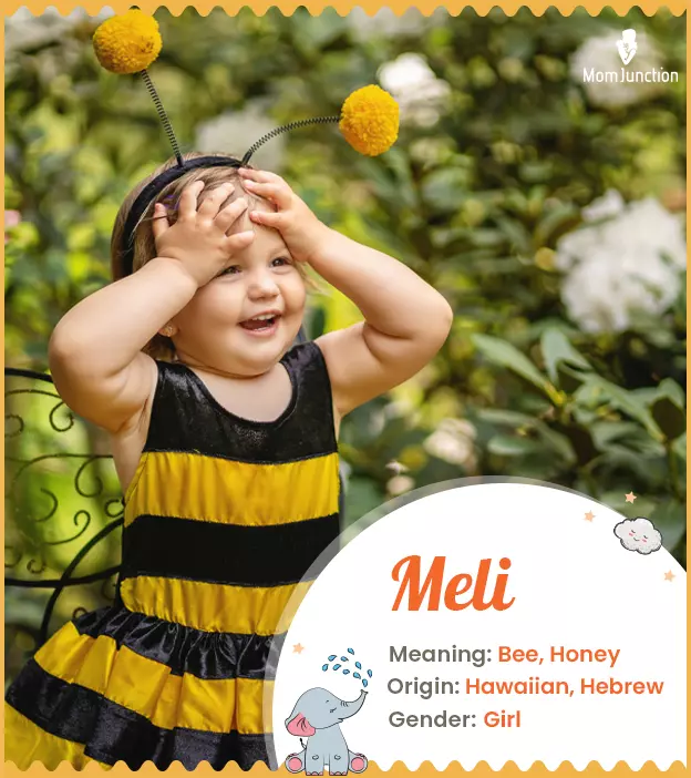 Explore Meli: Meaning, Origin & Popularity
