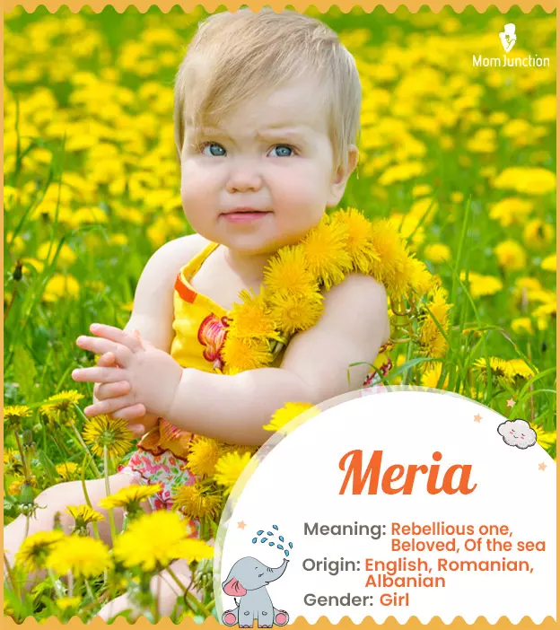 Explore Meria: Meaning, Origin & Popularity
