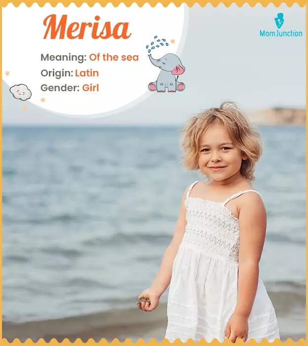 Merisa Name Meaning, Origins, And Popularity: Complete Guide