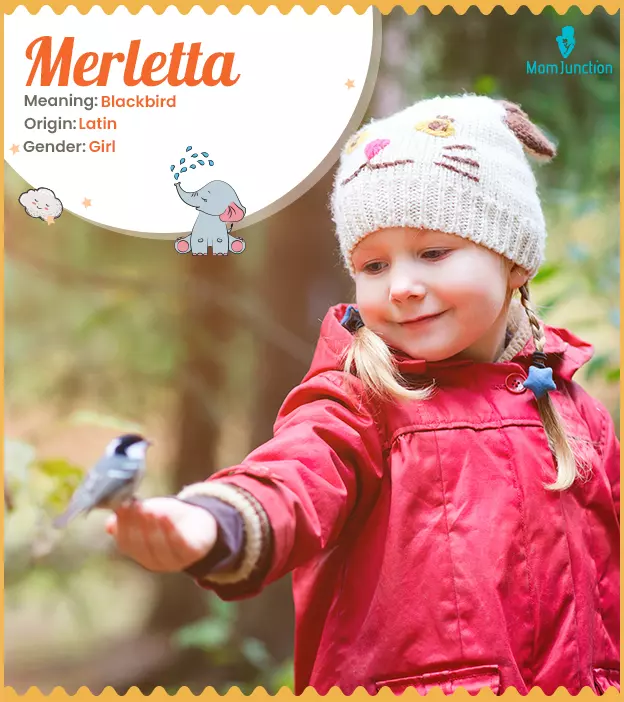 Merletta Meaning, Origin, History, And Popularity