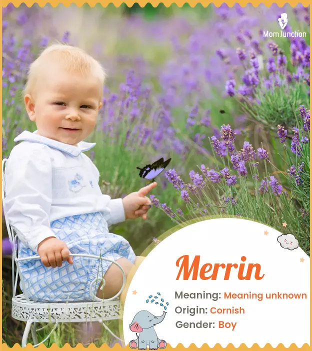 Explore Merrin Name Meaning & History: Trends & Stats for 2025: Meaning ...