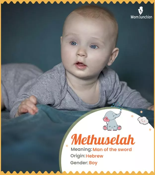 Methuselah Name Meaning, Origin, And History: Complete Guide