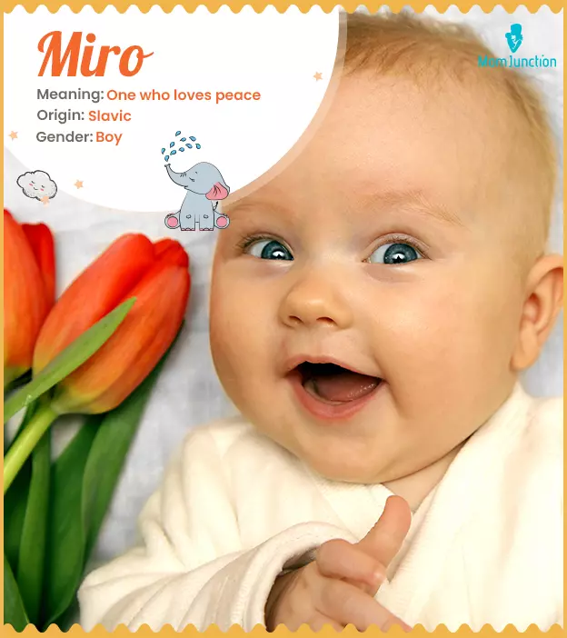 Miro Name Meaning, Origin, History, And Popularity