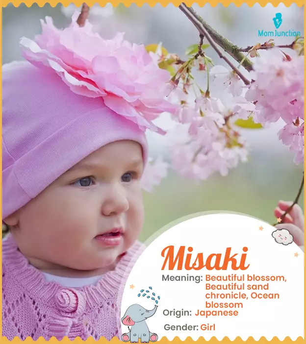 Misaki Name Origin, Meaning, And History: Complete Guide