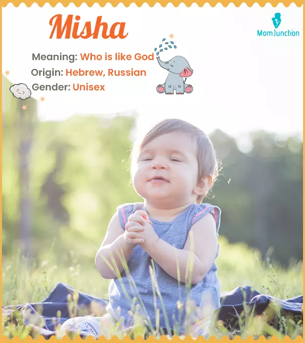 Misha Name Meaning, Origin, History, And Popularity